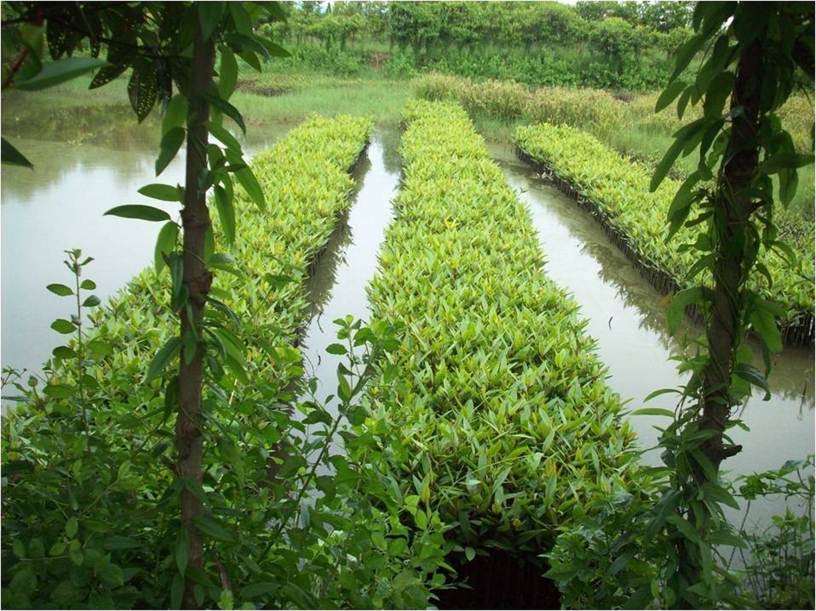AGS Paris Renews ISO 14001 Certification to Stay up to Date